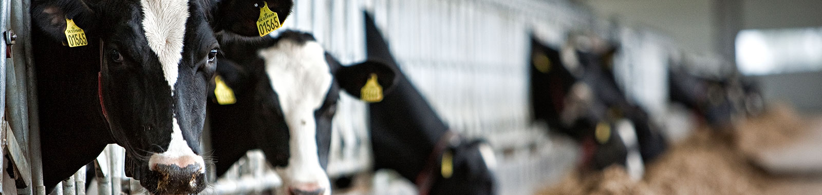 Baltic Agro- produktai ir paslaugos žemės ūkiui